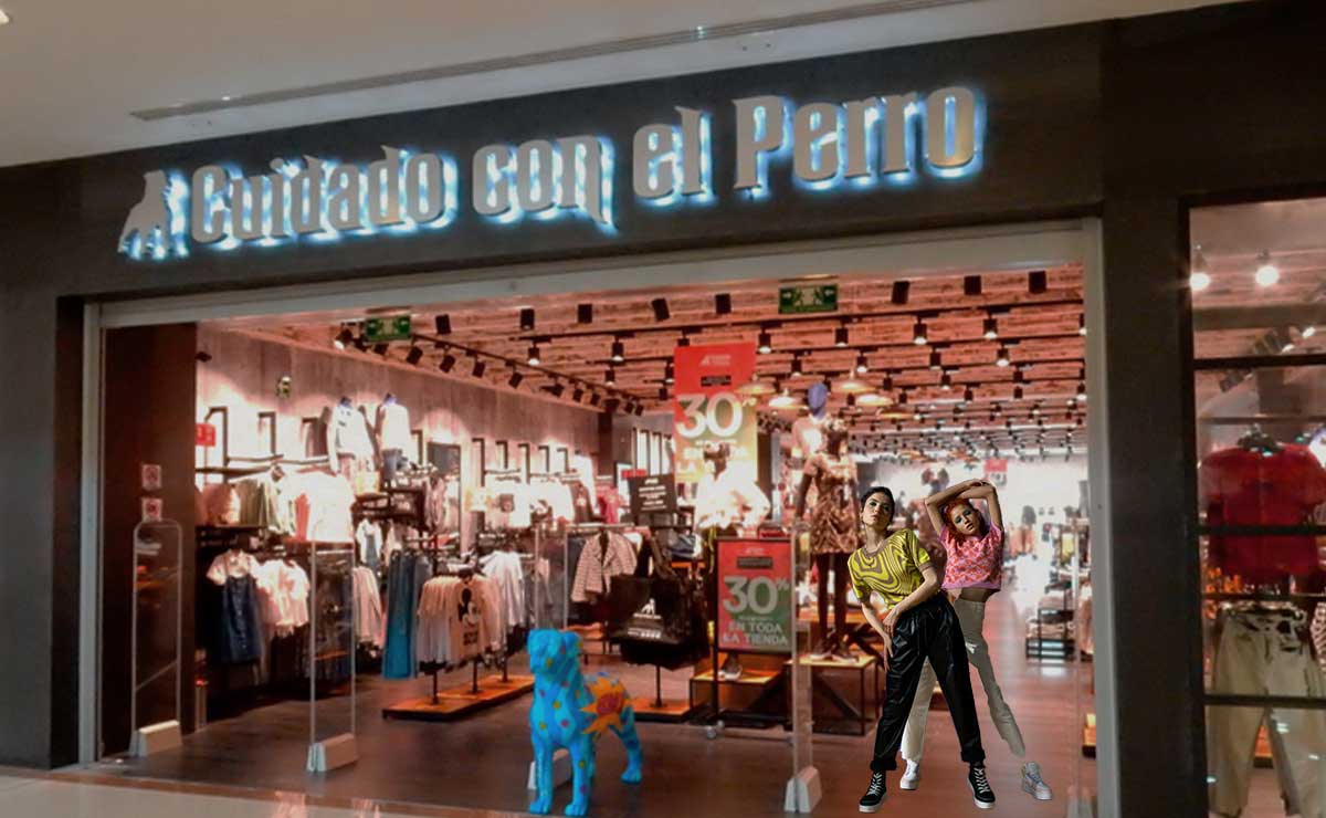 Cuidado con el Perro: Conoce todo sobre la vacante que ofrece esta ...